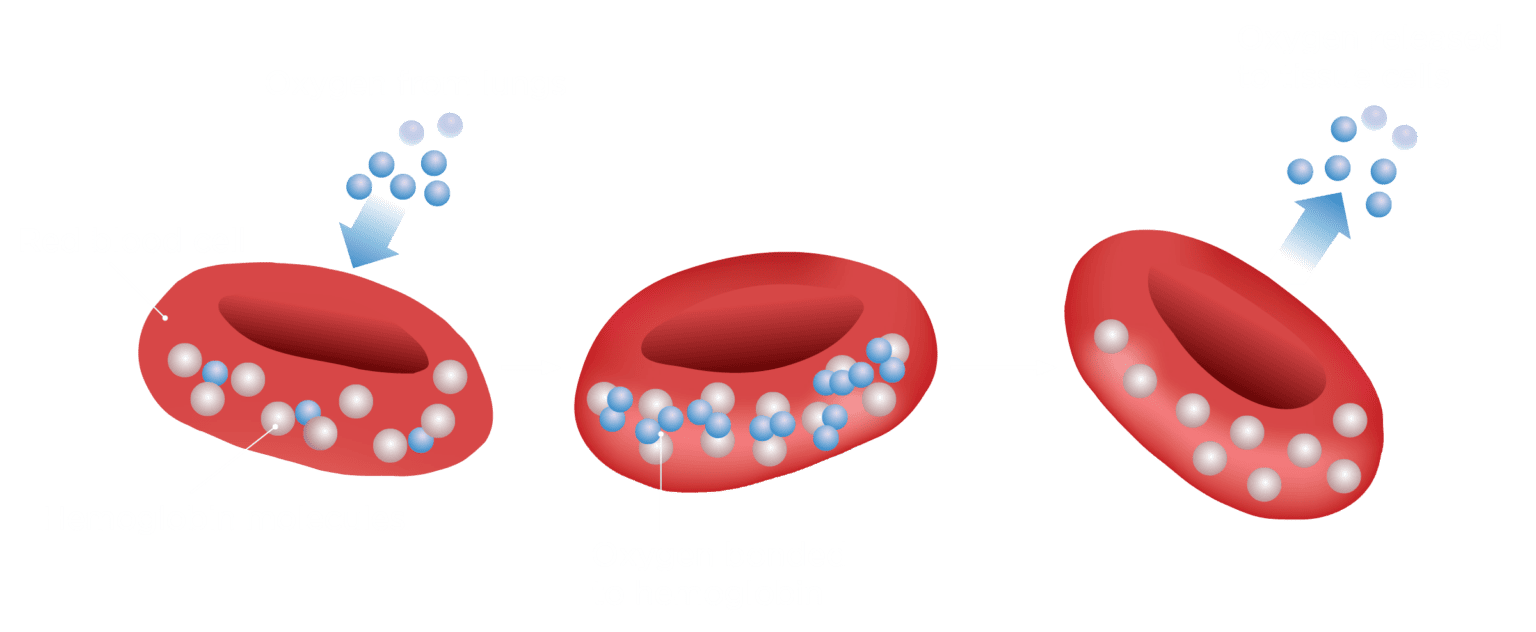 CryoTouch MD – CryoConcepts Corporate Site